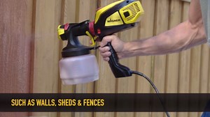 Wagner Spraytech 02419307 FLEXiO 595 Handheld HVLP Paint Sprayer, Sprays Most Unthinned Latex, Includes Two Nozzles - iSpray & Detail Finish Nozzle, Complete Adjustability, Lightweight Design