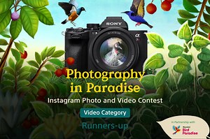 Congratulations to the #PhotographyInParadise Contest Video Category Runners-up! | Sony Singapore | Facebook