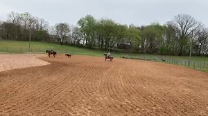 Jimmy Fitzgerald | Rockin' B Ranch