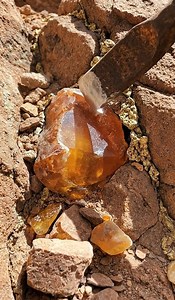 Carnelian forms when silica-rich fluids crystallize inside desert sandstone ridges, and this gold-bearing specimen shows molten gold later tearing straight through the crystal’s natural fractures. Its ember-orange color comes from iron oxide inside the stone, while the thick native gold was injected by hydrothermal fluids over millions of years. Pieces like this can be valued between $6,000 and $55,000 depending on clarity and gold dominance. #gold #gemstones #crystals #fblifestyle | Gold Extrac