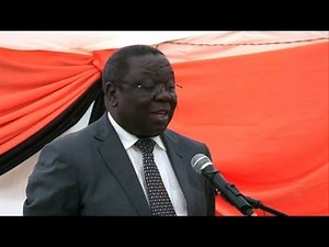 Zimbabwe PM vows to veto polls without prior reforms