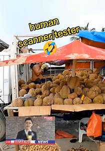 Scanner/tester | Just Average