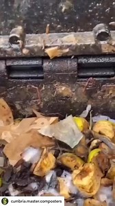 Thank you to the Cumbria Master Composters for sharing this HOTBIN working its magic. 🔥The simple joy of composting your food waste, knowing that you’re keeping it out of the residual waste stream and making nutrient rich compost to improve the health of your soil in the process.HOTBIN is an innovative hot compost bin that can produce rich compost in just 30 to 90 days! With the flexibility to sit in the sun or in shade, HOTBIN compost bins are designed to work all the way throughout the year, 