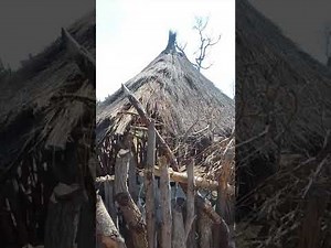 How to start goat farming in Namibia start small now.