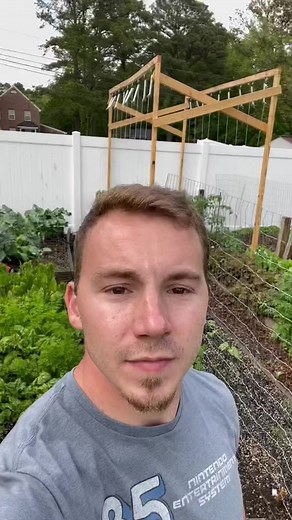 GARDEN HACK 📫 keep your tools safe and organized 👌🏼#gardenhack #gardenhacks #mailbox #gardeningtips #gardeninghacks # #gardens #flowerphotography #gardener #design #instagram #photo #bhfyp #gardenlove #flores #organic #homedecor #picoftheday #travel #architecture #growyourown #plantas #cactus #landscaping #succulents #trees #plantsmakepeoplehappy #dg #growyourownfood #giardino #gardensofinstagram #tree #flowerpower #instagarden #beauty #homegrown | Weird and Wonderful Things