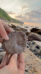 983K views · 10K reactions | We came across a fresh shale landslide!...