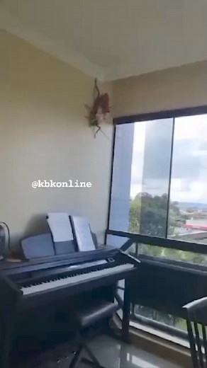 It's hard to believe if this particular cockroach is real..But the biggest roach in the world in terms of length and wingspan is-Megaloblatta longipennisThis cockroach, which measures over three and a half inches in length and over an inch and a half in width can be found in Peru, Ecuador and Panama. | Kbkonline