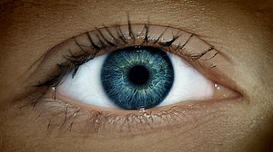  Take Your Trading to New Heights This 4th of July!  Are you ready...