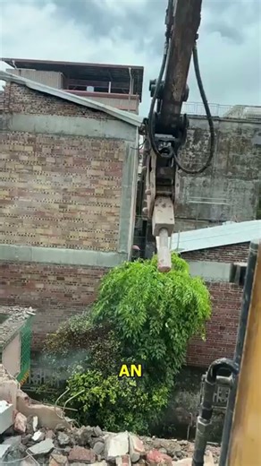Brick House Demolition with Excavator.#demolitionwork #excavatorpower #constructionlife #buildingremoval #safehouseclearing_R | ThoughtPulse