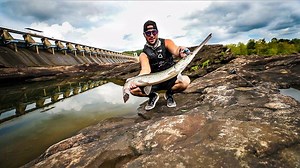 368K views · 318 shares | I caught a giant fish that were trapped in tiny pools while fishing at the dam! | Jiggin' With Jordan | Facebook