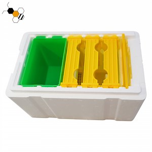 [Hot Item] Min Plastic Bee Nuc Boxes Polystyrene Queen Mating Nuc Hive