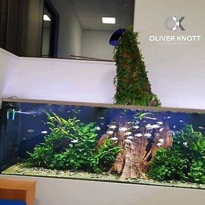 #werbung # A DIY CO2 diffusor for testing on a 5,000 liter tank # Jöst Aquaristic Anubias Aquatic Plants Aqua Rebell # #worldaquariumday #wad2020 #okisback #oliverknott #omk #olivermartinknott #joestaquaristic #backtonature #aquarebell #olibetta #anubiasaquaticplants #aquarium #aquariumhobby #aquariumdesign #aquariumfish #aquariumtank #aquariumlife #aquariumfans #aquariumplants #aquariumfun #freshwateraquarium #plantedaquarium #natureaquarium #plantedtank #aquascapes #aquascapeindonesia | Oliver